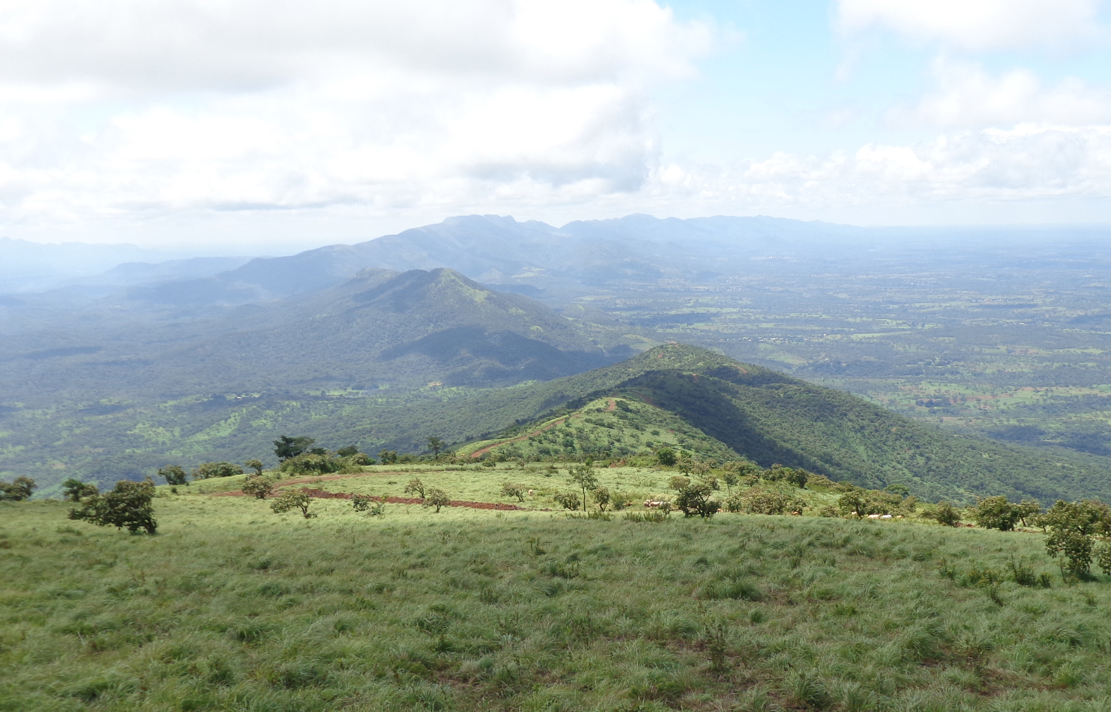 Mining - Winning Consortium Simandou